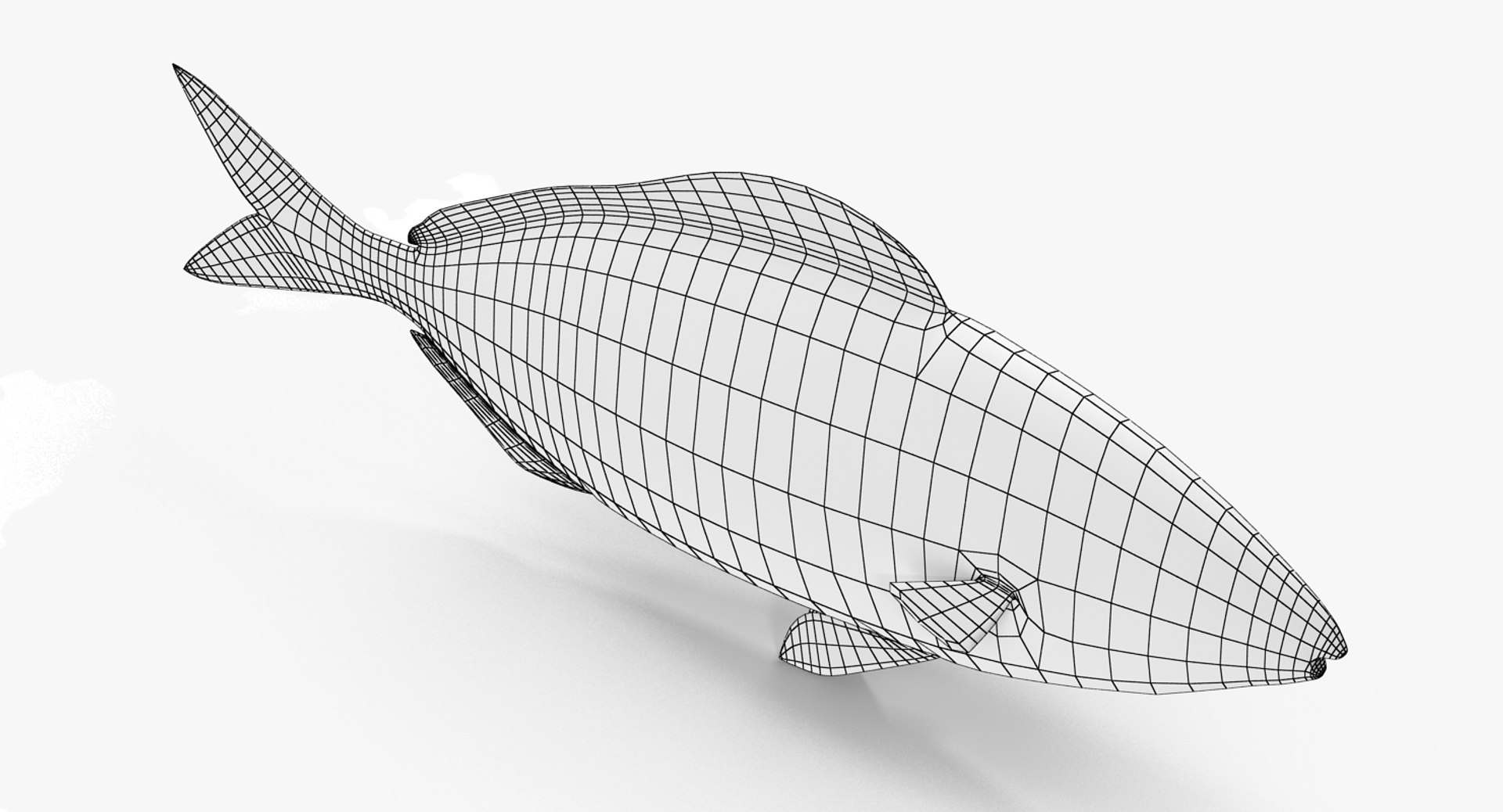 Saupe Fish Sarpa 3d Model