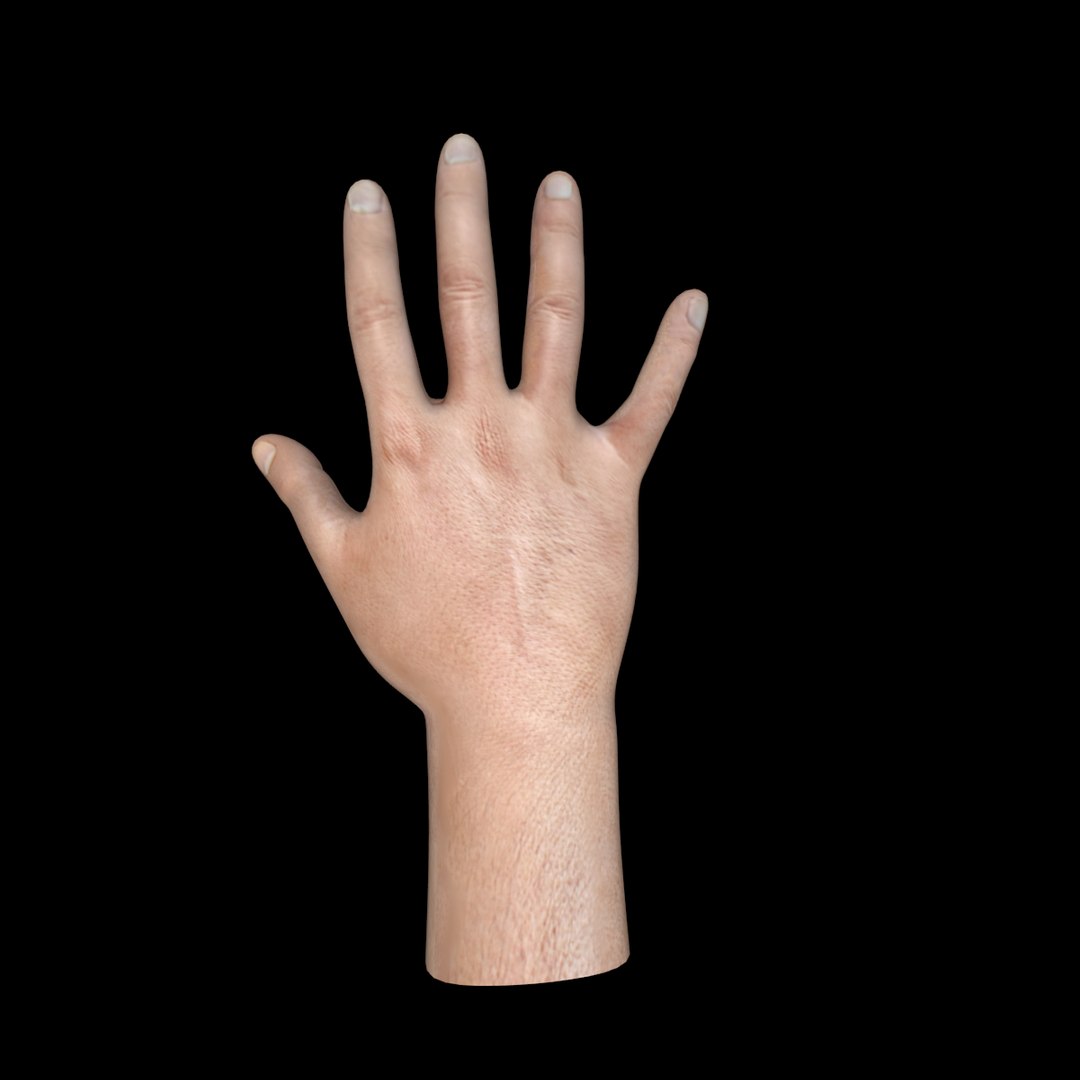 3d model right man hand