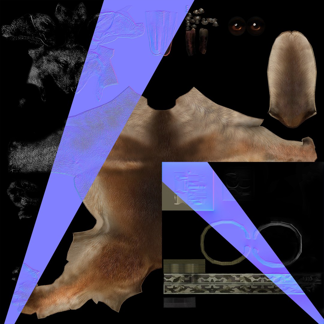 Belgian Malinois Multicam Id Model - TurboSquid 1246342