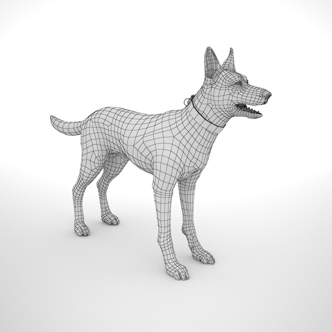 Belgian Malinois Multicam Id Model - TurboSquid 1246342