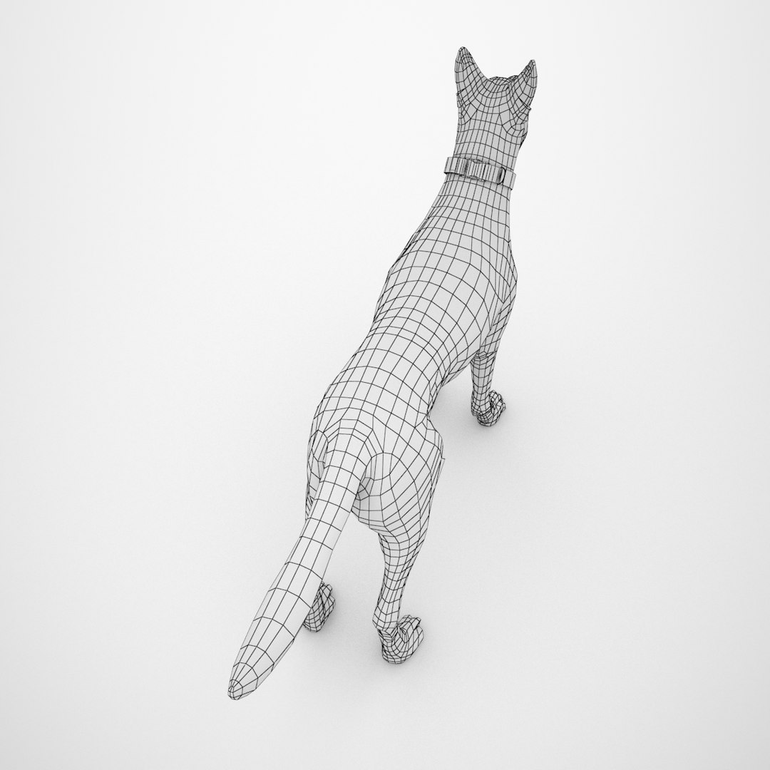 Belgian Malinois Multicam Id Model - TurboSquid 1246342