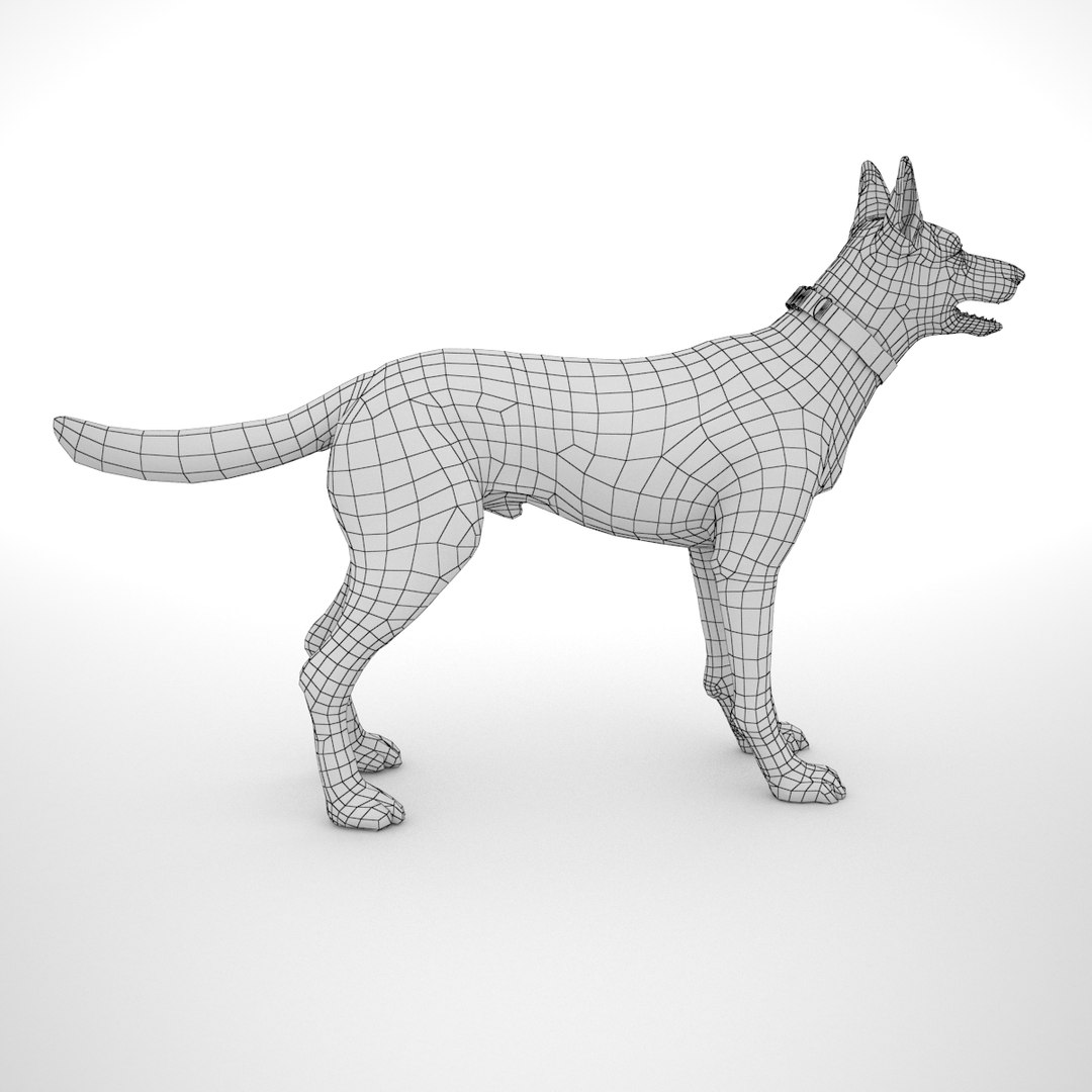 Belgian Malinois Multicam Id Model - TurboSquid 1246342