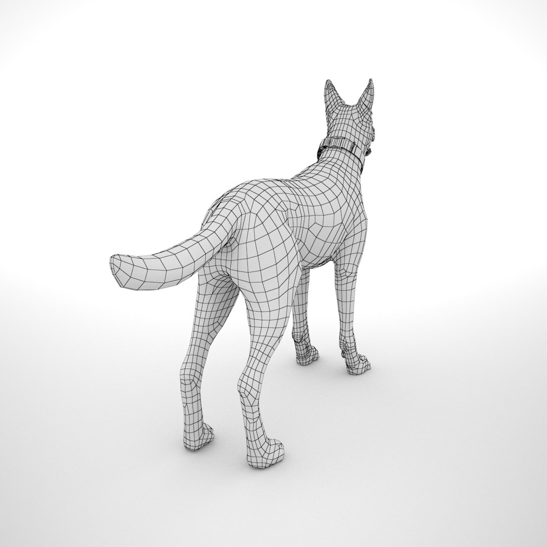 Belgian Malinois Multicam Id Model - TurboSquid 1246342