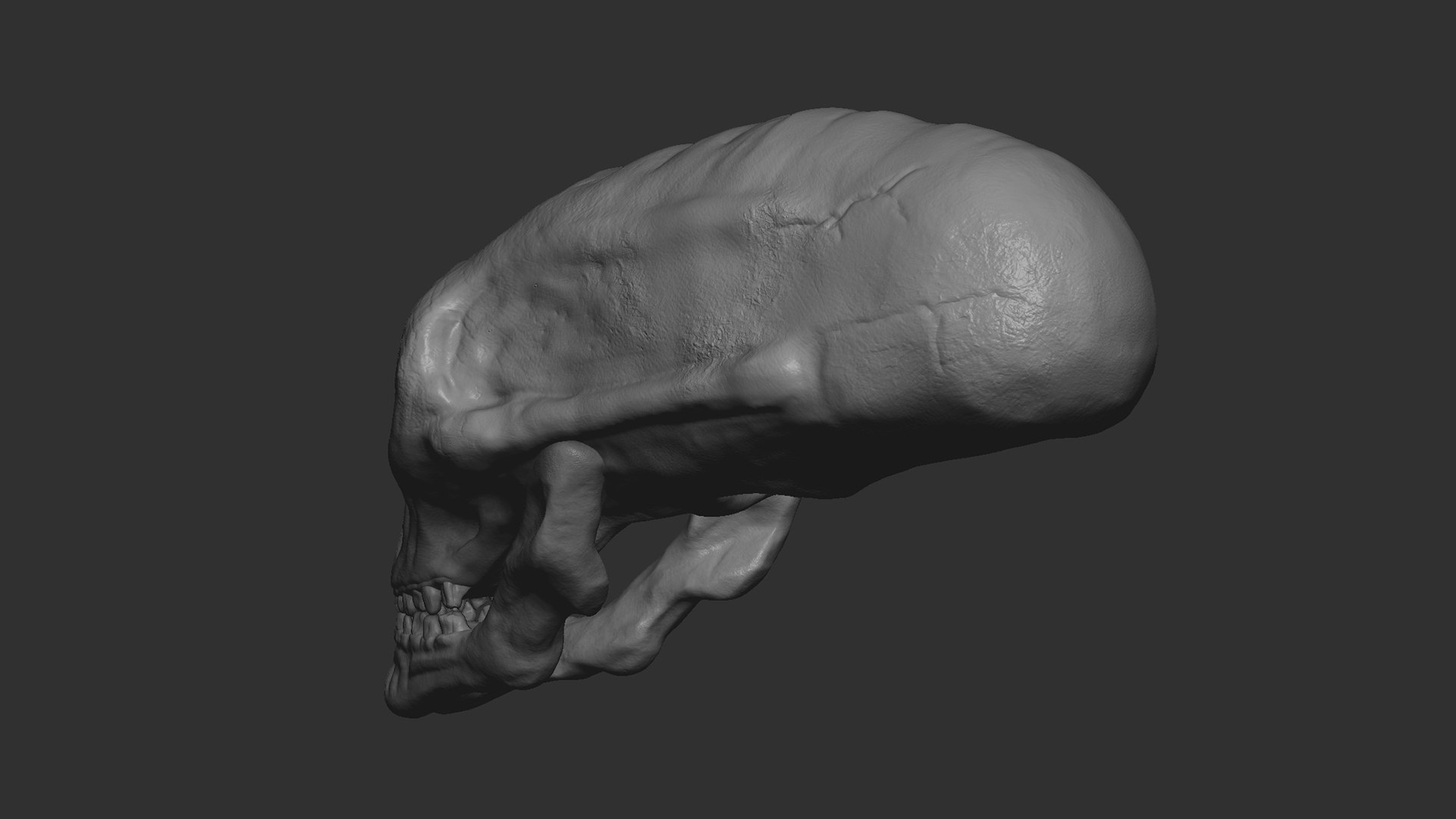 Alien Skull 3D PRINT 3D Model - TurboSquid 1884490