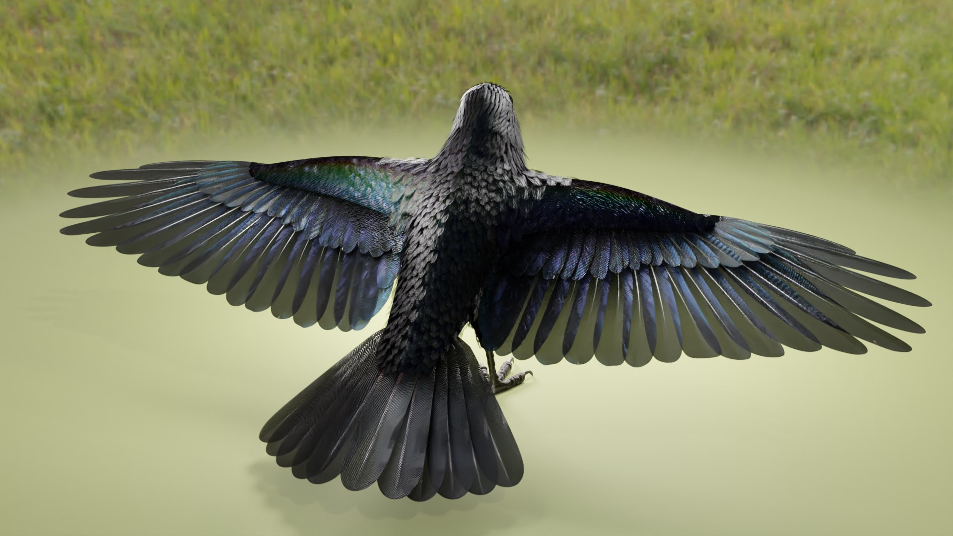 RAVEN-BLENDER model - TurboSquid 2154316