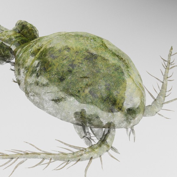 modèle 3D de Cyclope truqué - TurboSquid 2074497