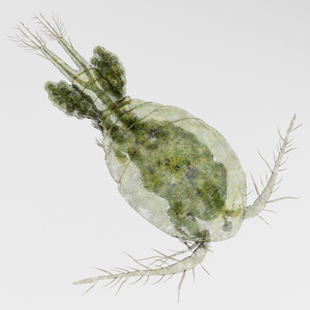 Cyclops Rigged Model - TurboSquid 2074497