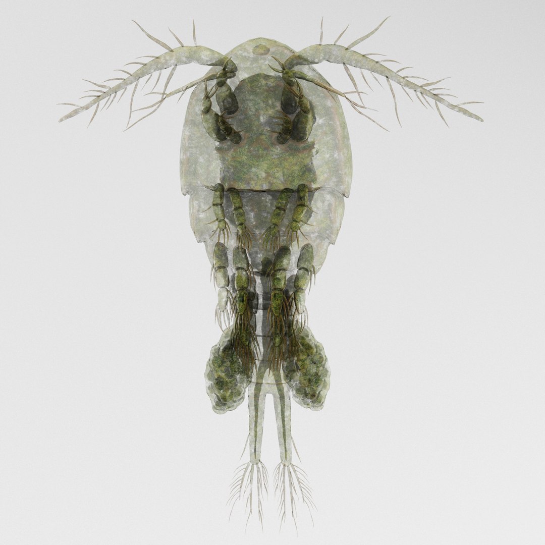 Cyclops Rigged Model - TurboSquid 2074497