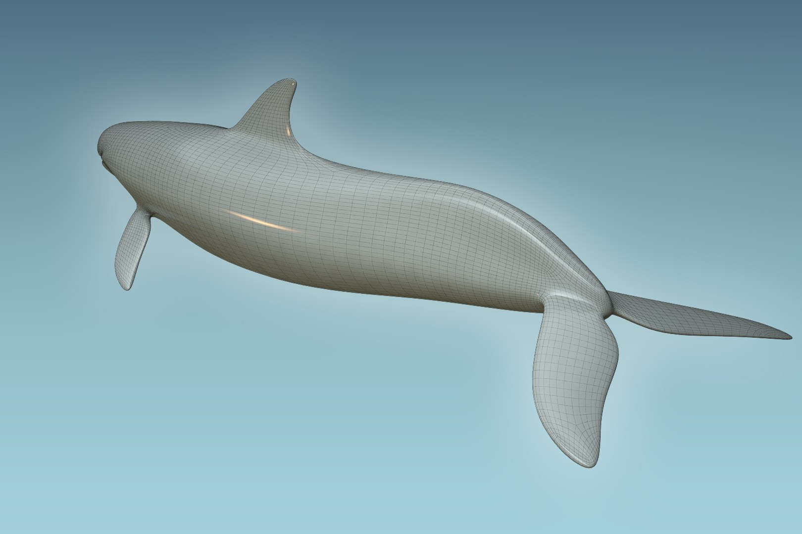 False Killer Whale 3D Model - TurboSquid 1202268