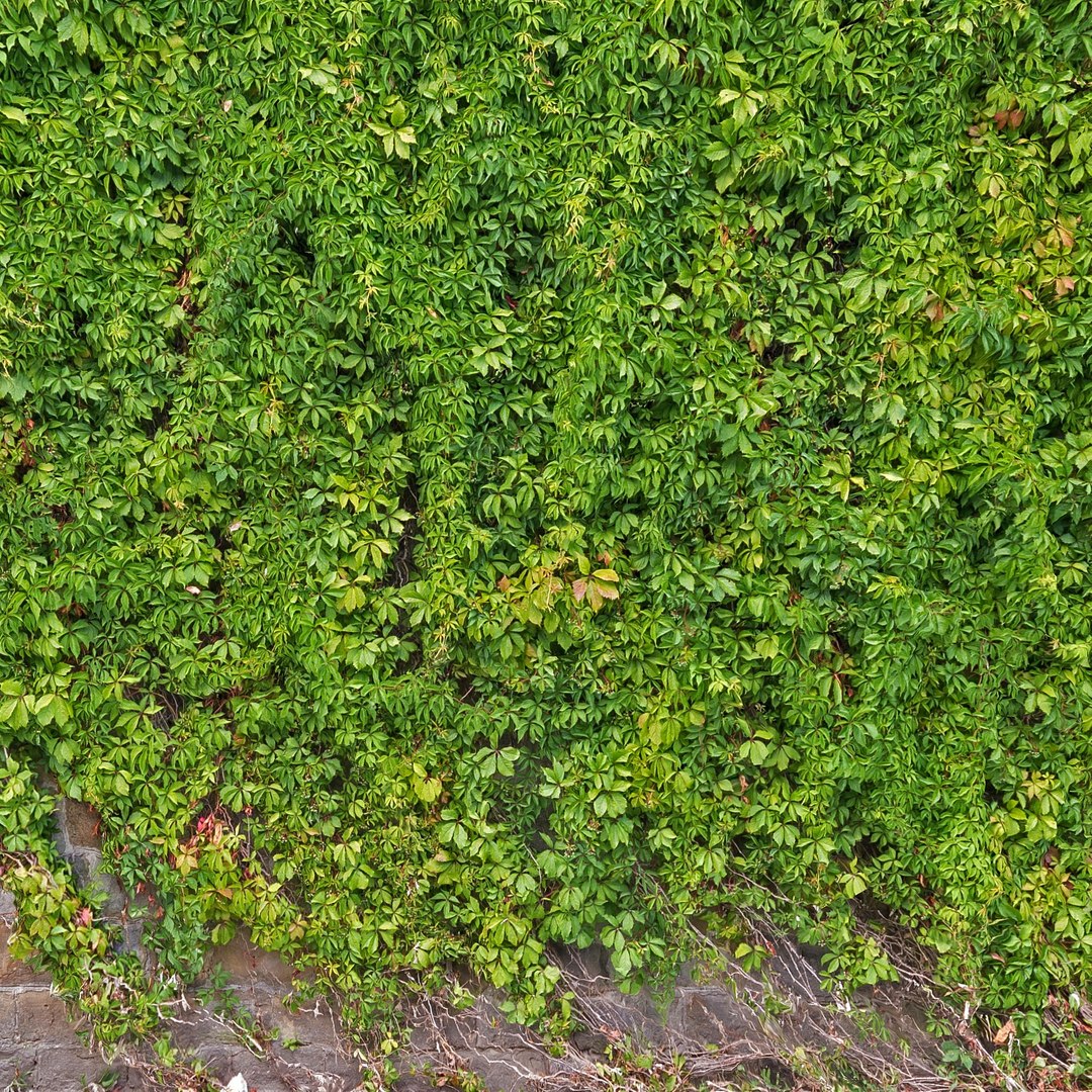 Max Urban Water Canal