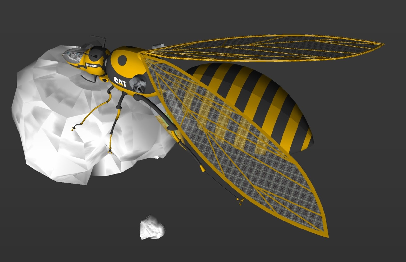 3d Model Wasph