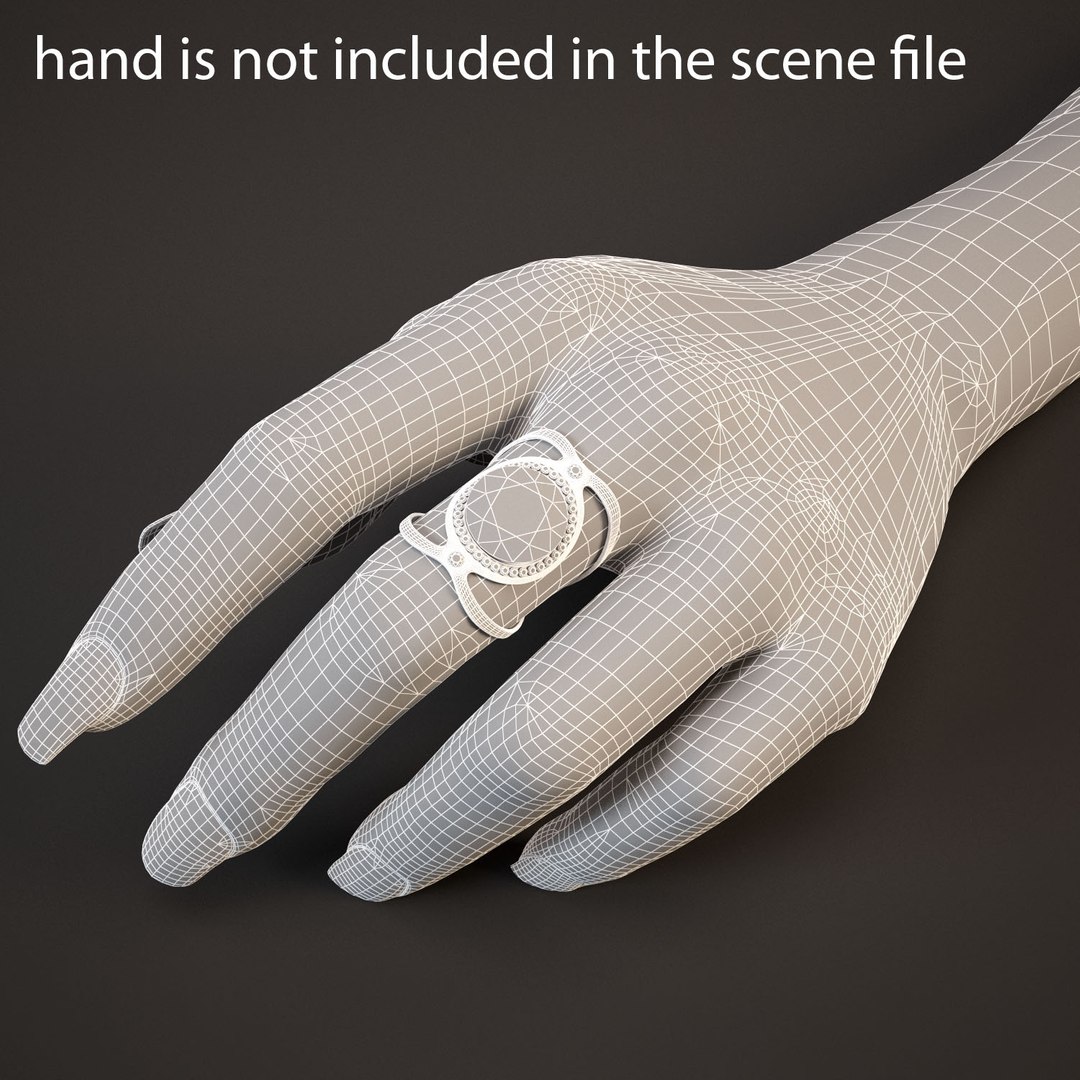 3d ring accessory model