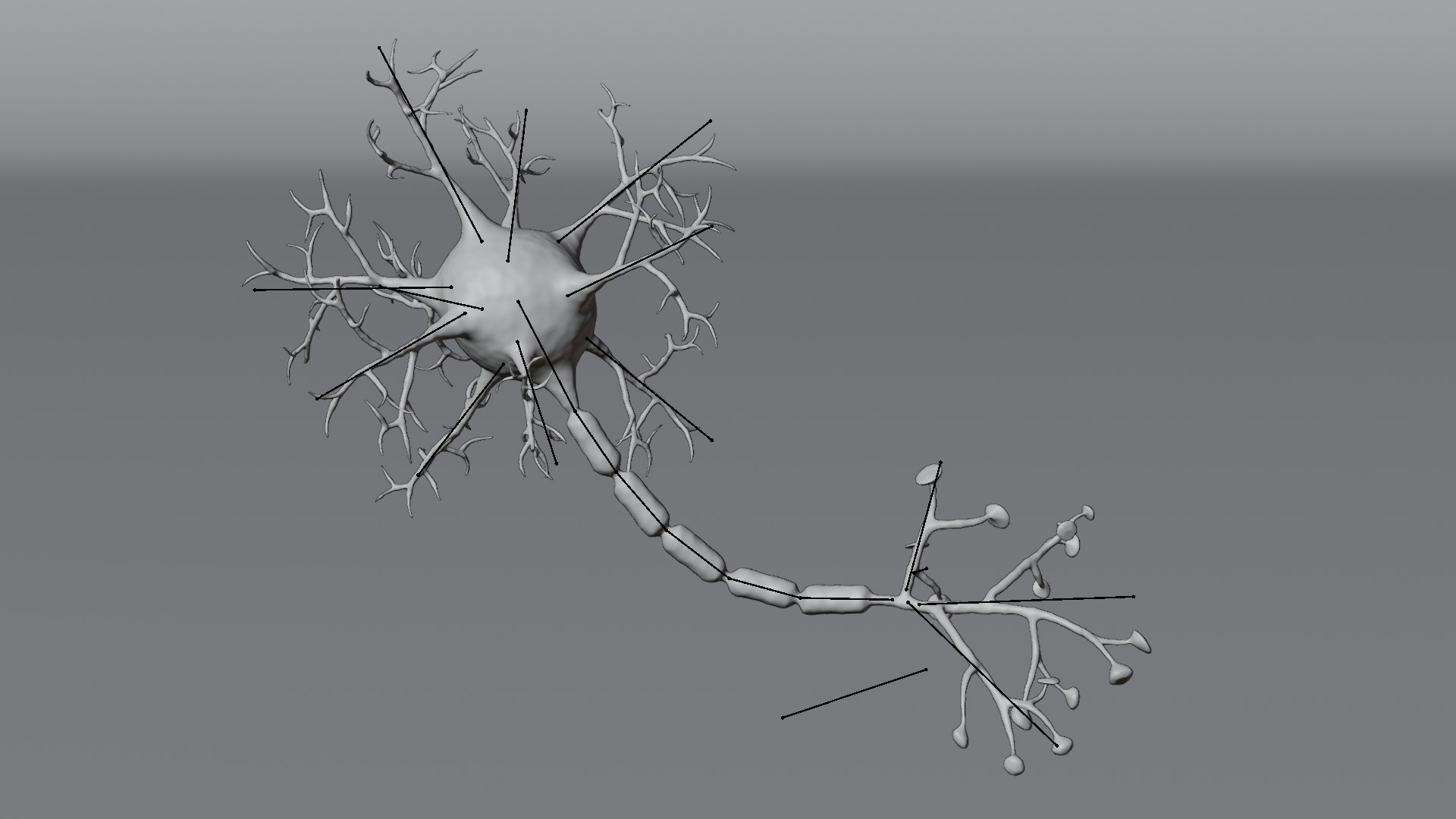 Neuron 2 Rigged 3D Model - TurboSquid 1770543