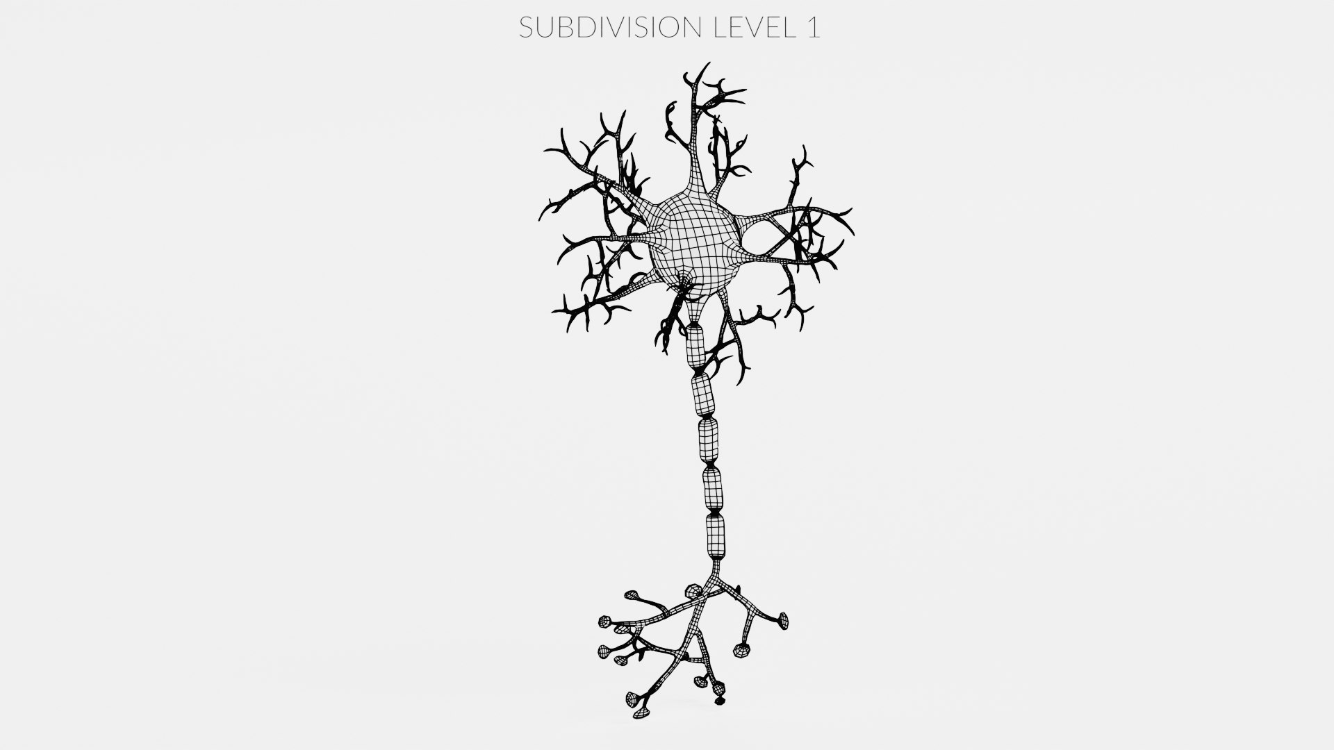 Neuron 2 Rigged 3D Model - TurboSquid 1770543