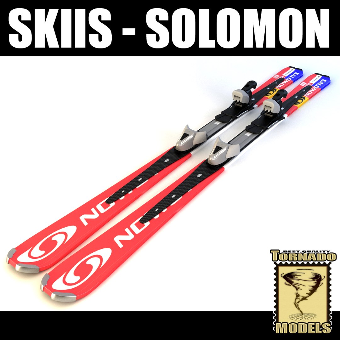 Alpine Solomon Skis 3d Model
