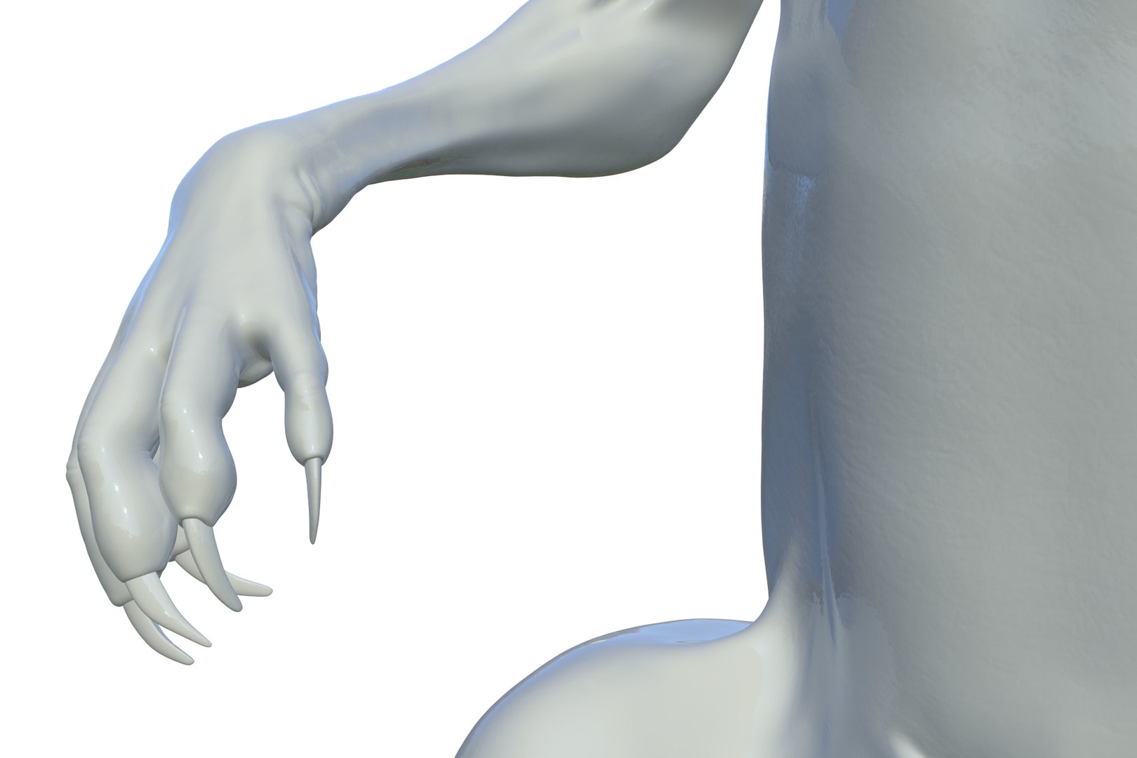 Kangaroo 3D Model - TurboSquid 2208403