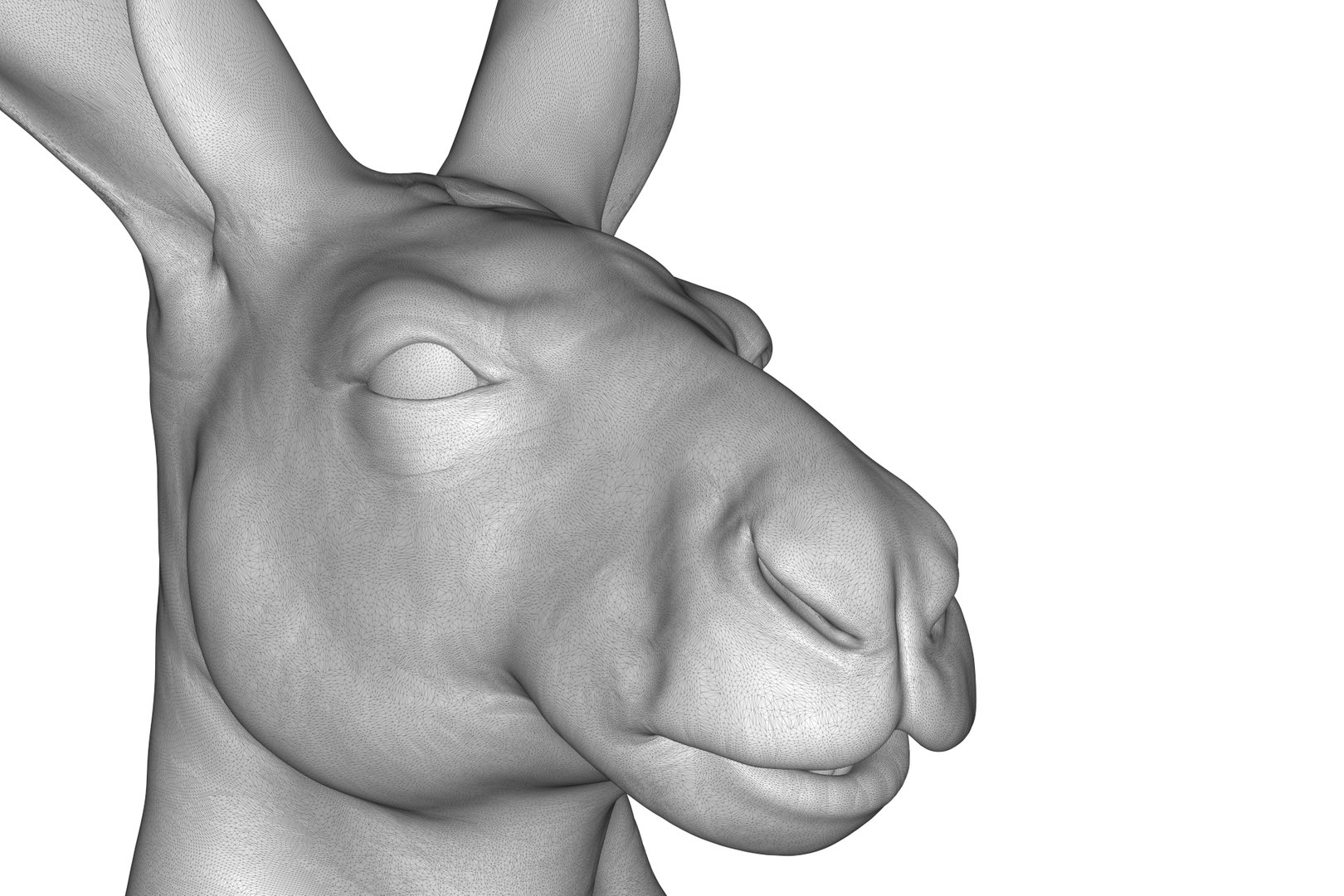 Kangaroo 3D Model - TurboSquid 2208403