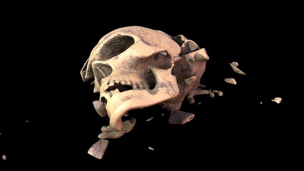 Broken skull model - TurboSquid 1698432
