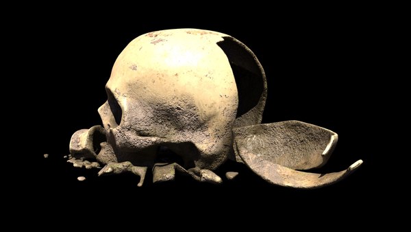 Broken skull model - TurboSquid 1698432