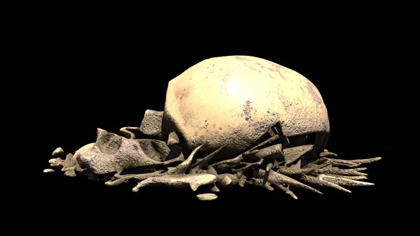 Broken skull model - TurboSquid 1698432