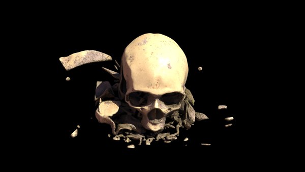 Broken skull model - TurboSquid 1698432
