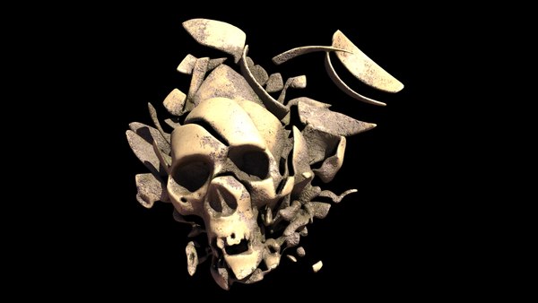 Broken skull model - TurboSquid 1698432
