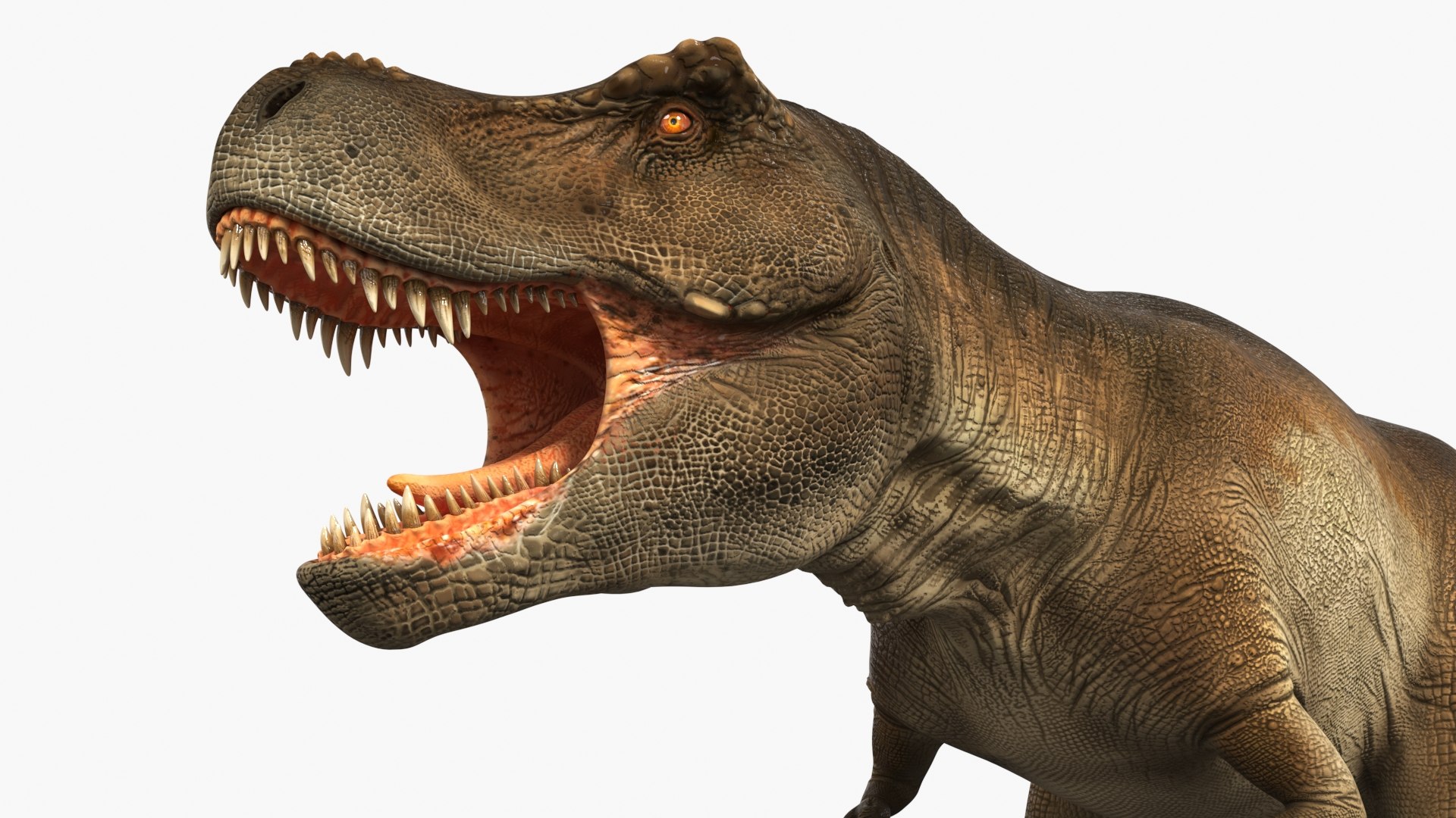 3D Tyrannosaurus Rex Dinosaur Model - TurboSquid 2382289