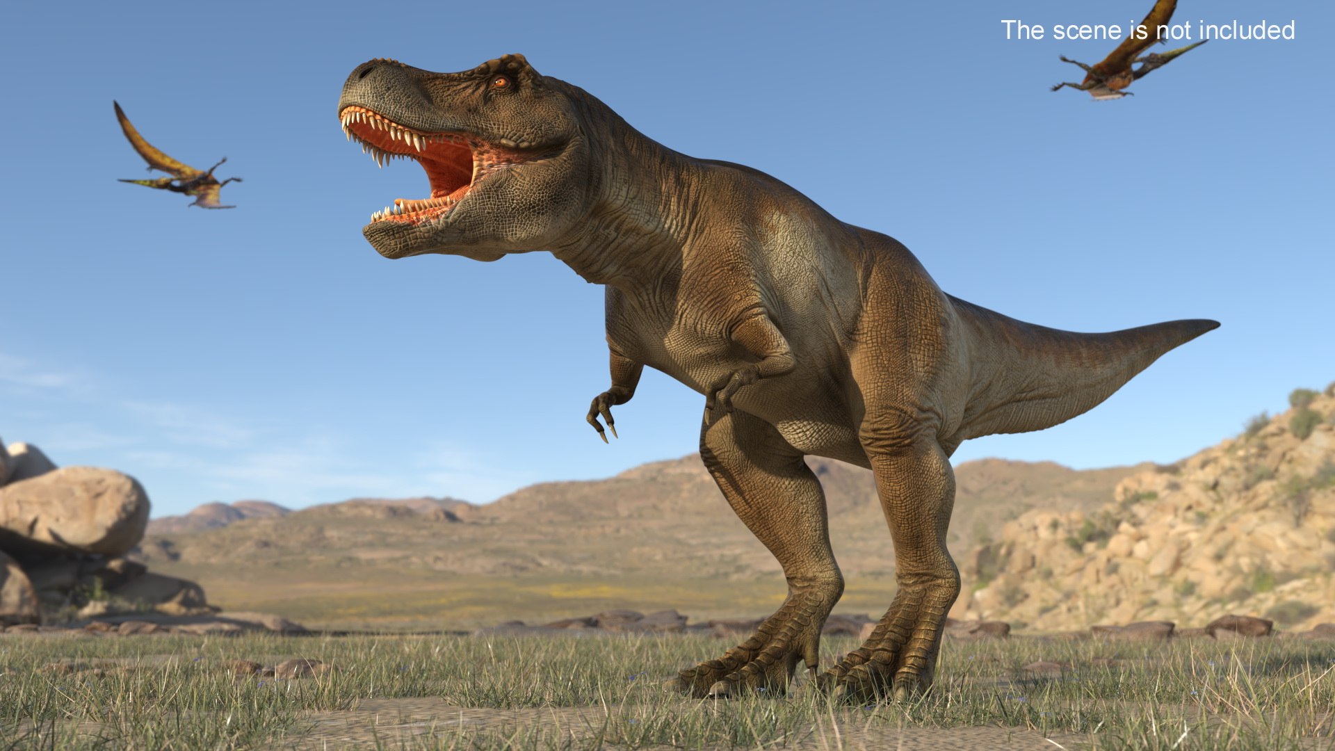 3D Tyrannosaurus Rex Dinosaur Model - TurboSquid 2382289