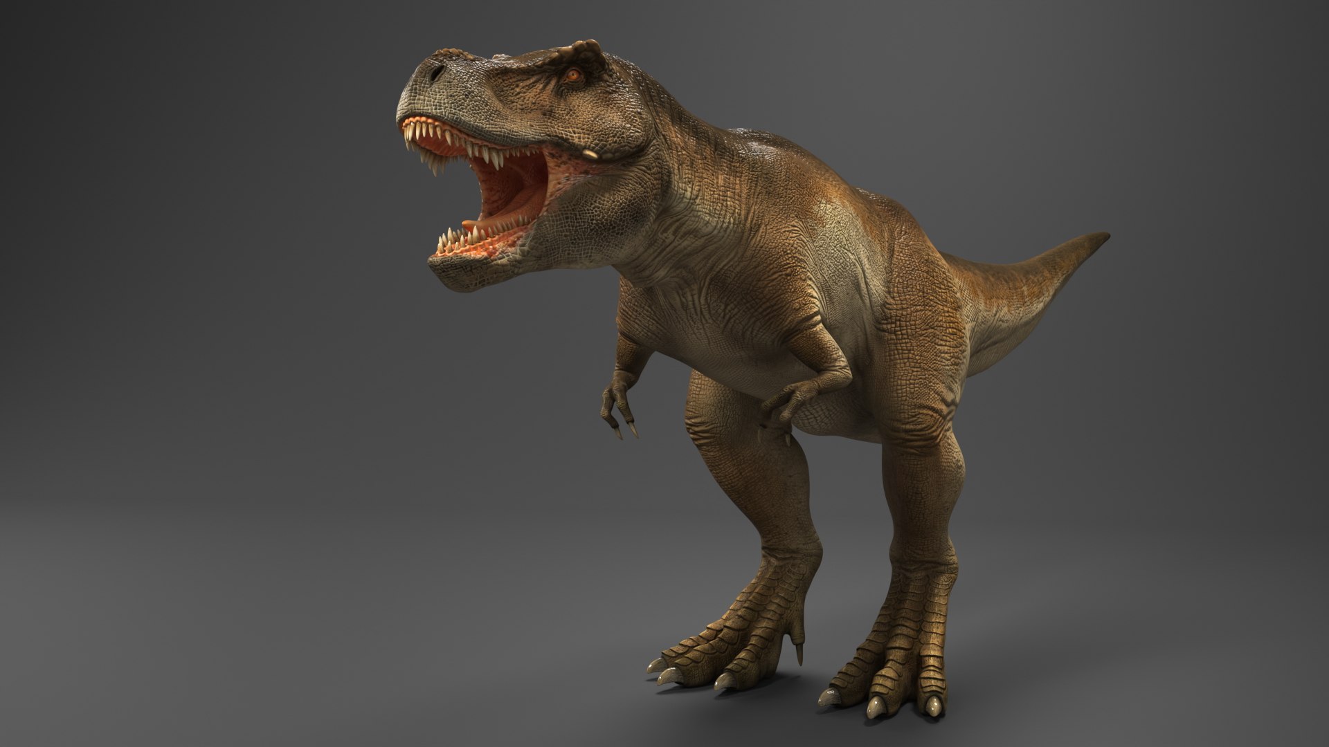 3D Tyrannosaurus Rex Dinosaur Model - TurboSquid 2382289