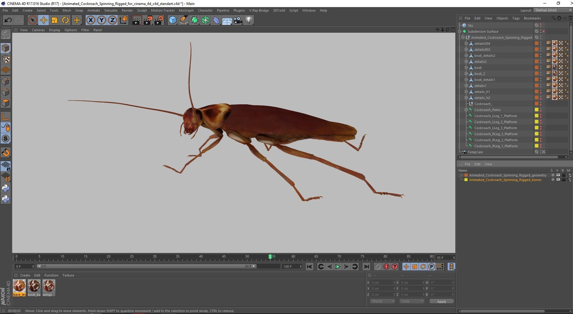Rigged Animated Cockroach Collection For Cinema 4D Model - TurboSquid ...