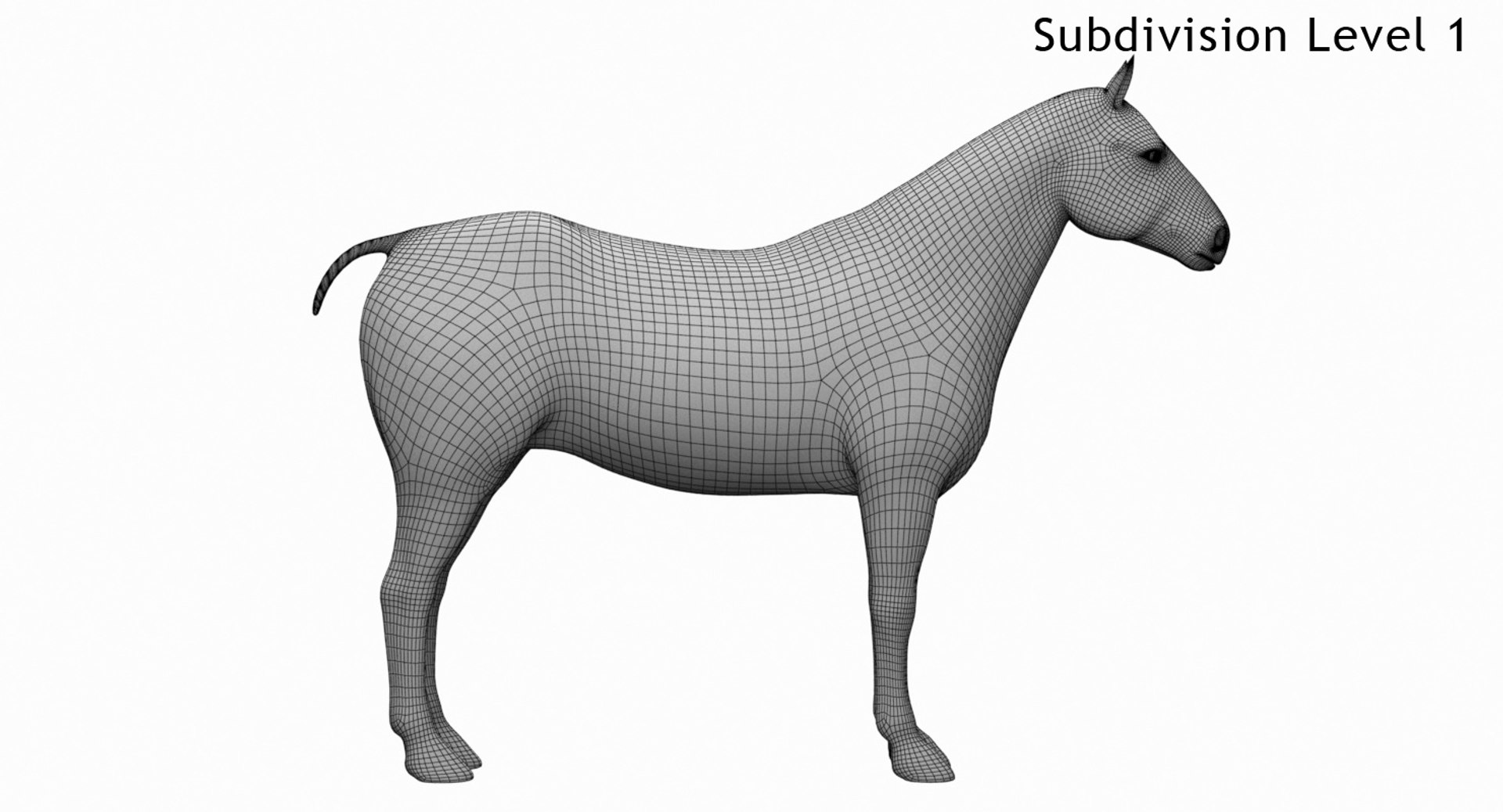 quarter horse 3d model