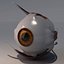 Human Eye Muscles 3d Model