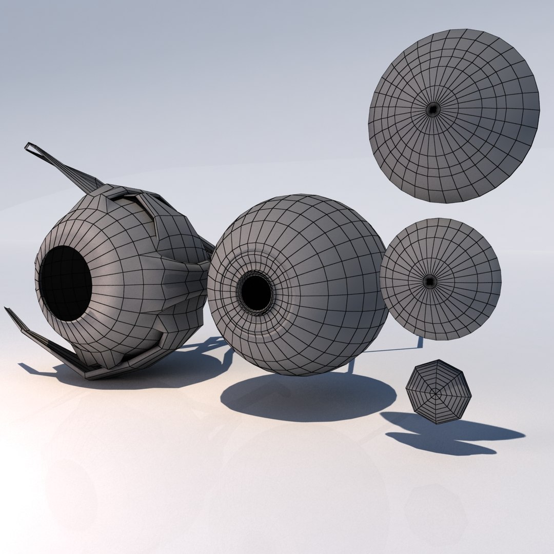 Human Eye Muscles 3d Model