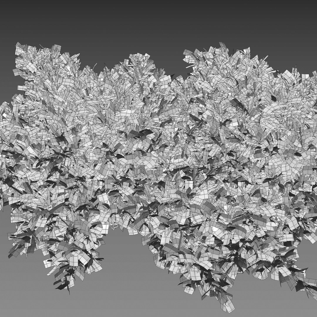 3D Juniperus Procumbens - Garden Juniper 01 - TurboSquid 2314551