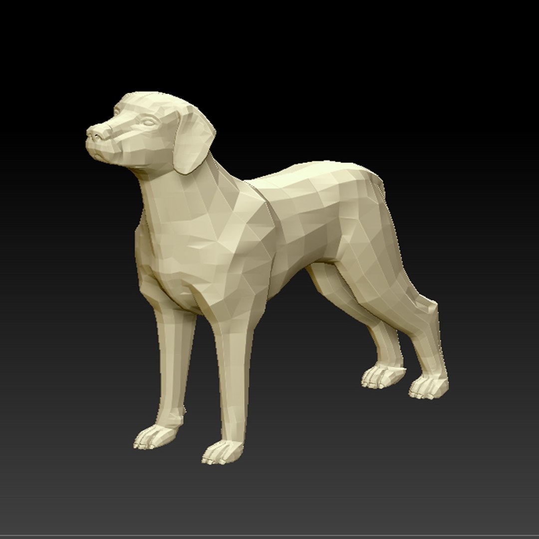 3D Dog - TurboSquid 1198774