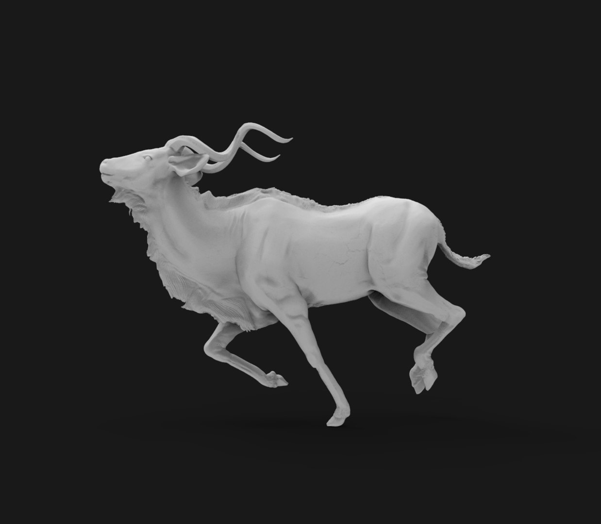 Kudu Antelope 3d Model