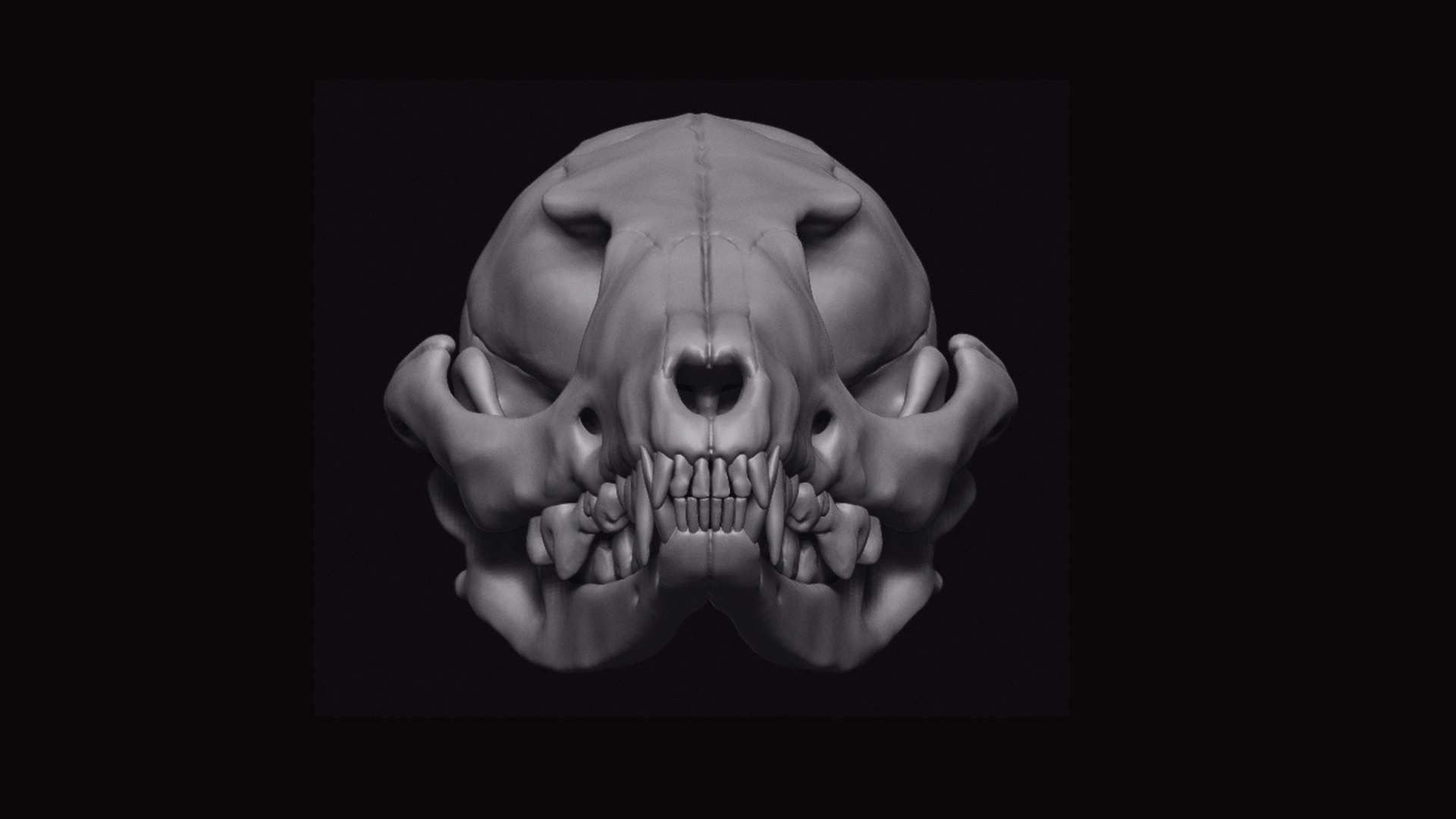 Realistic Fox Skull 3D Model - TurboSquid 1651254