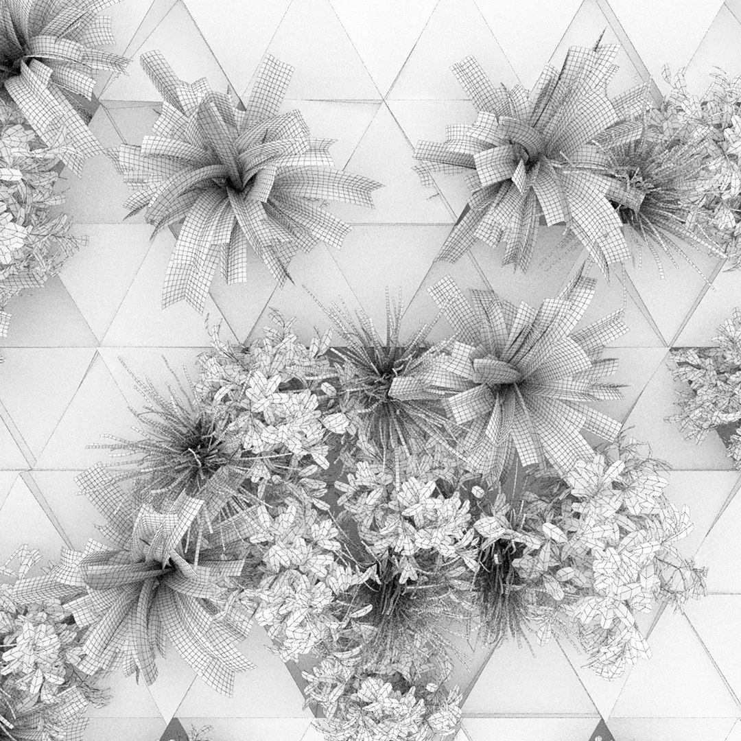 3D Collection Plant Vol 396 - Fitowall - Ertical - Leaf - Fern - Bush ...