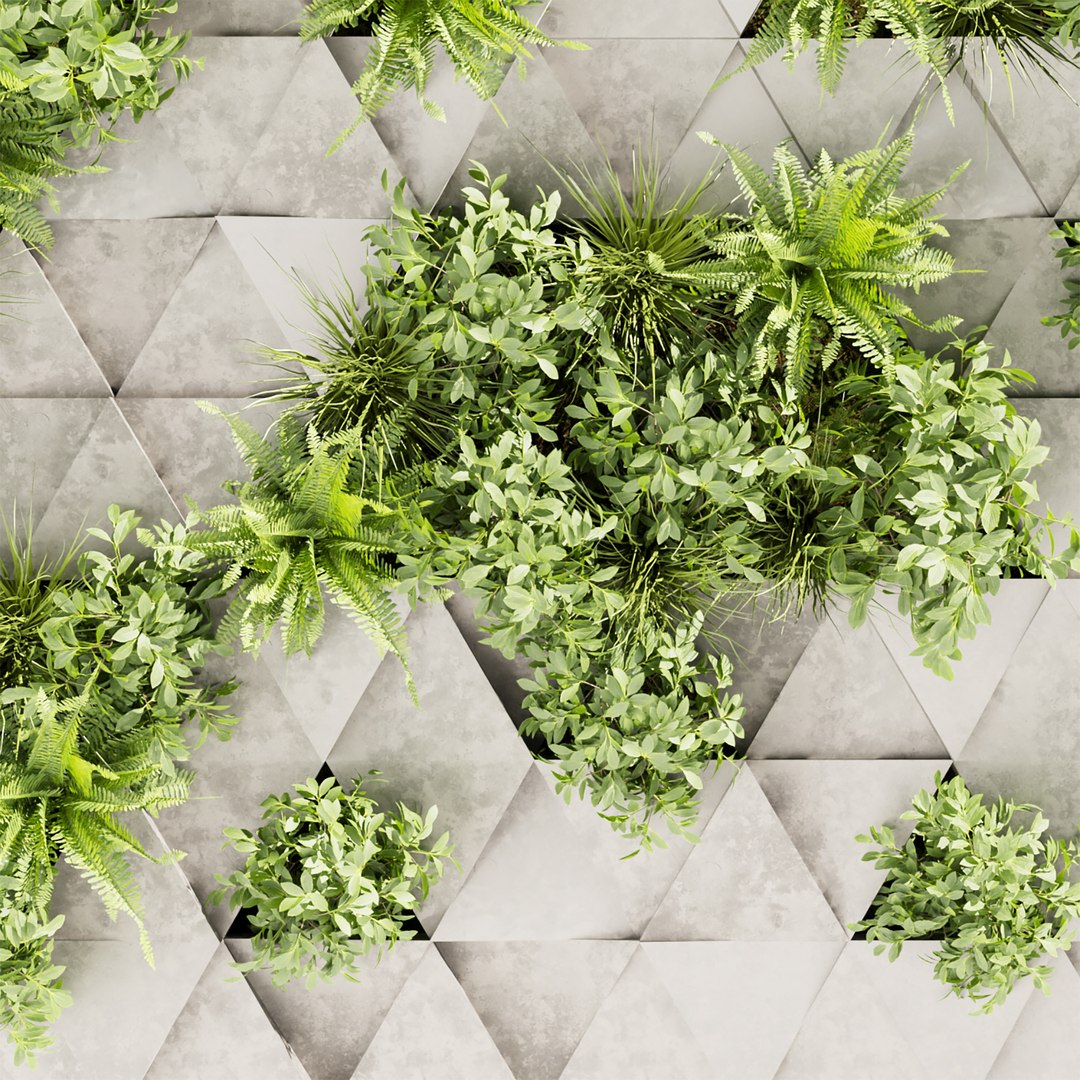 3D Collection Plant Vol 396 - Fitowall - Ertical - Leaf - Fern - Bush ...