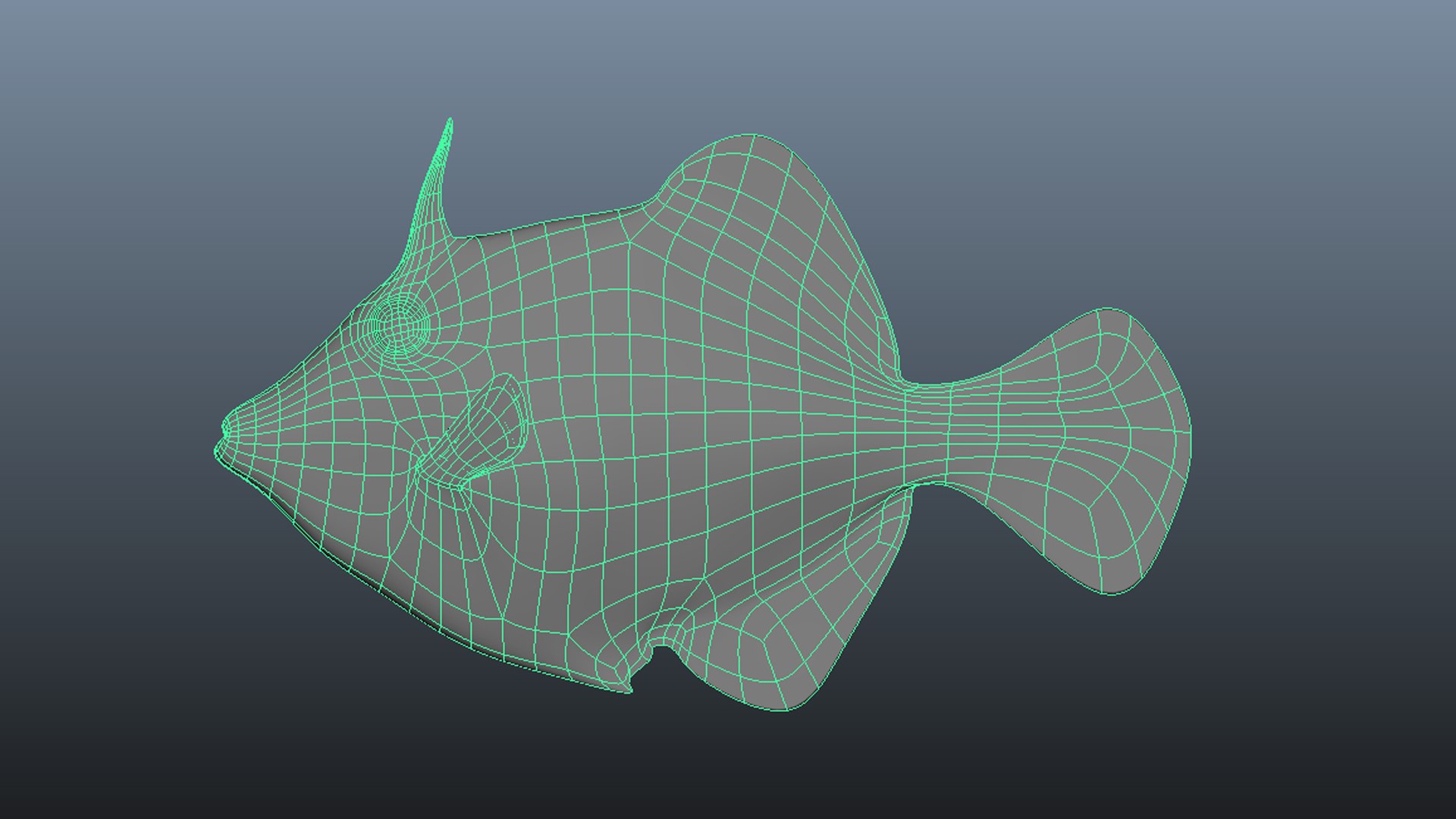 3D Planehead Filefish Fish - TurboSquid 1683326