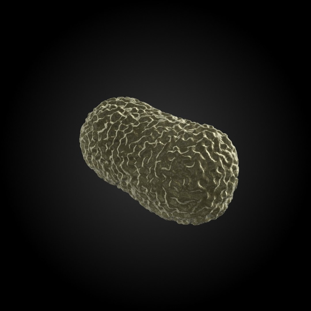 3ds max microbes micro organisms