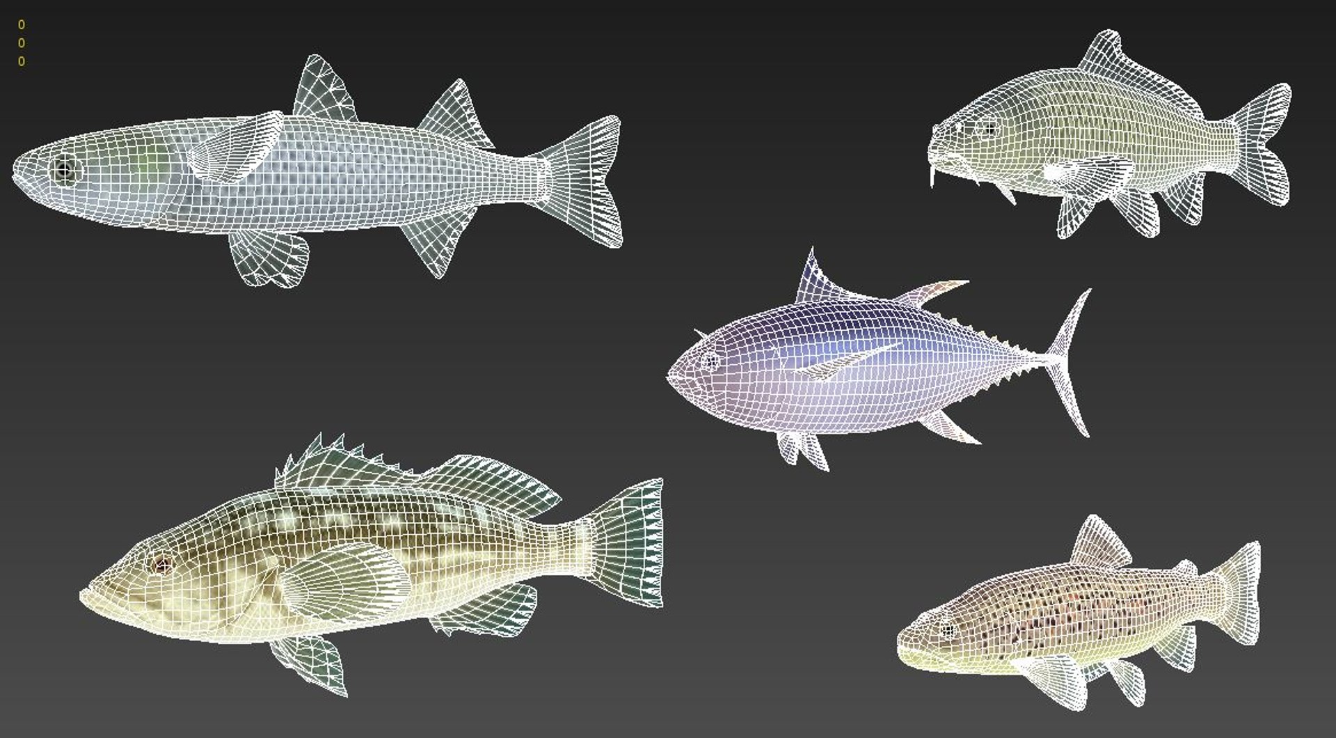 Fish 05 3D model - TurboSquid 1261972