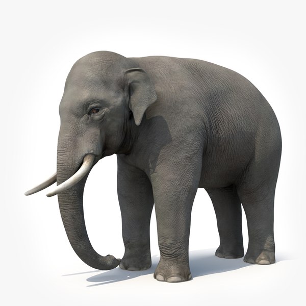 animated elephant 3d