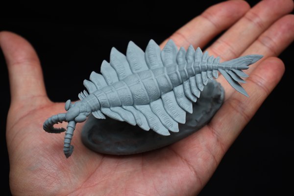 Anomalocaris canadensis 3D model - TurboSquid 1867067