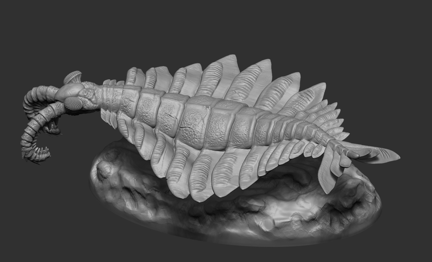 Anomalocaris Canadensis 3D Model - TurboSquid 1867067