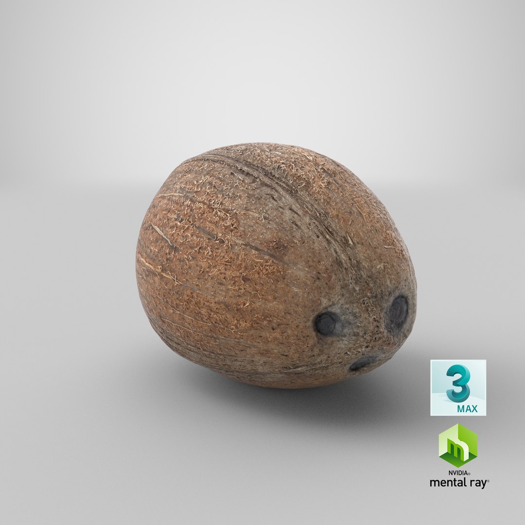 Coconut 04 3D model - TurboSquid 1423171