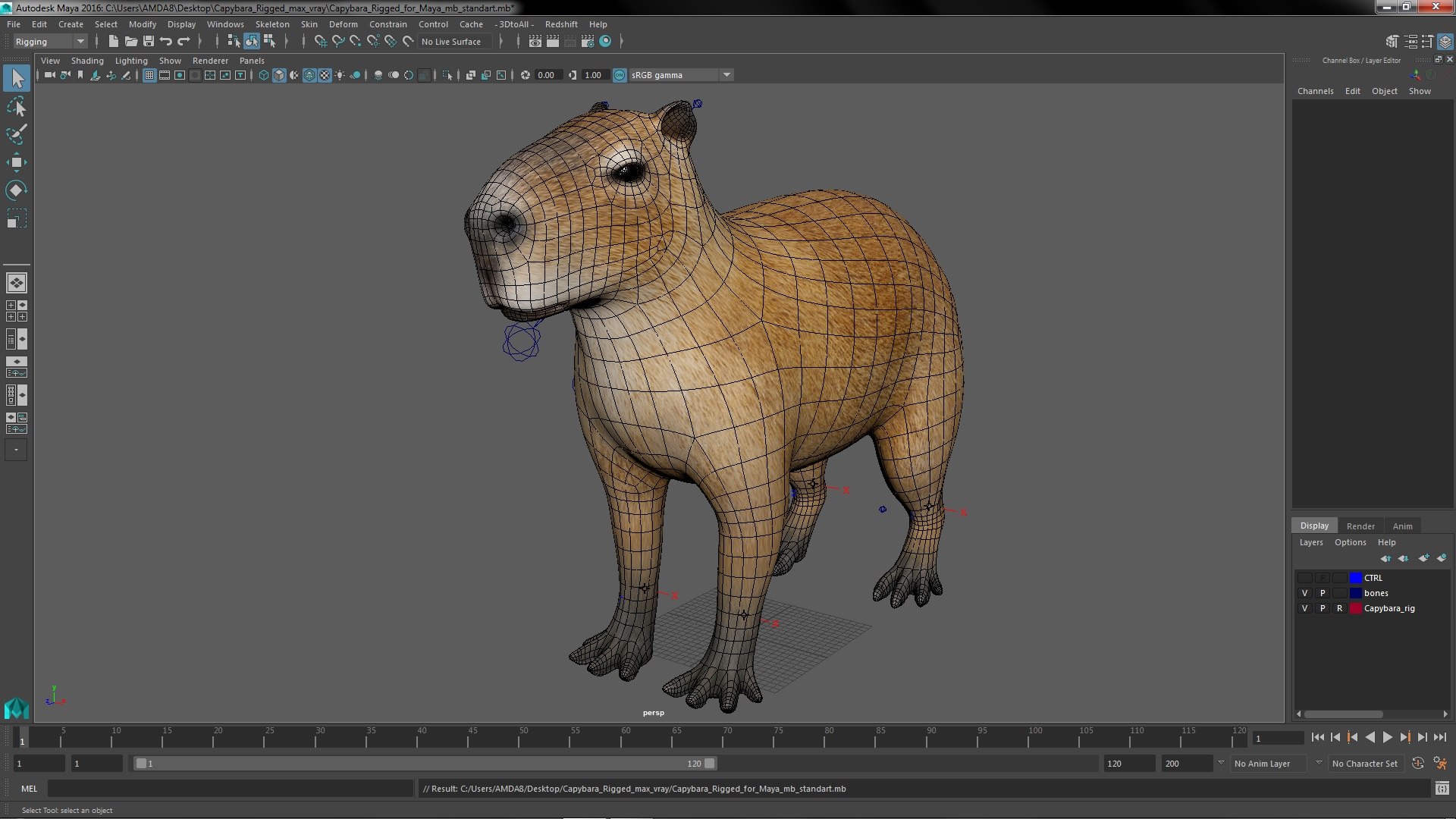 Capybara Rigged for Maya 3D model - TurboSquid 1958266