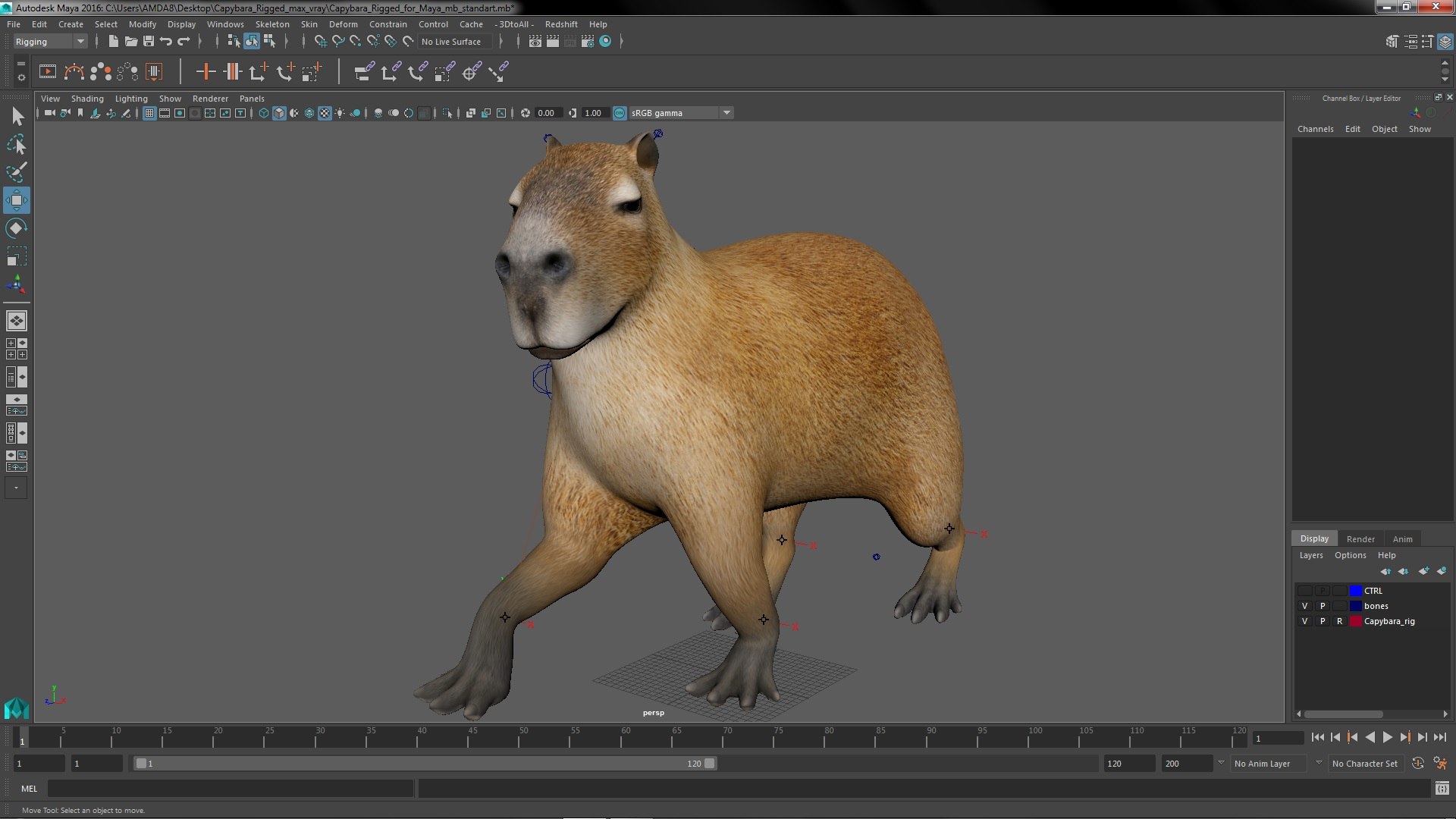 Capybara Rigged for Maya 3D model - TurboSquid 1958266