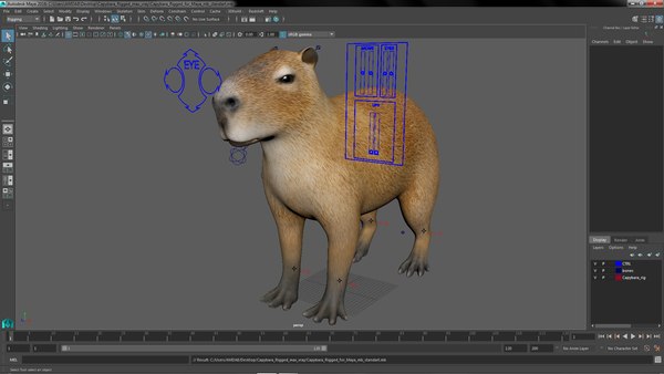 Modello 3D Capibara attrezzato per Maya - TurboSquid 1958266