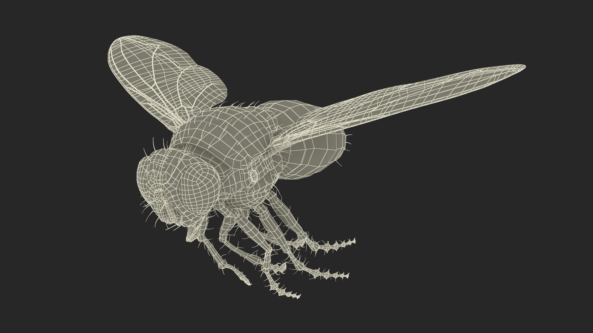 Lifelike Insect Housefly 3D Model - TurboSquid 2349806